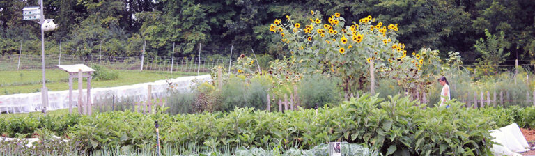 Kalamazoo Nature Center